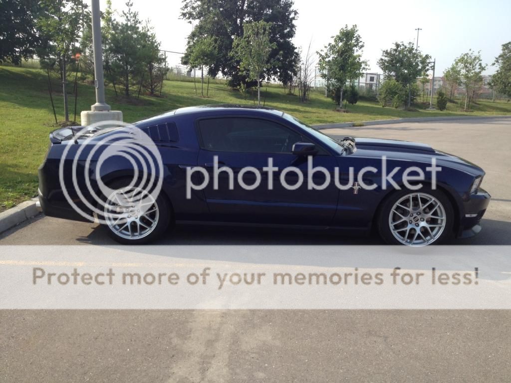 Lowered! Pics, Parts, & Thoughts | Ford Mustang Forum